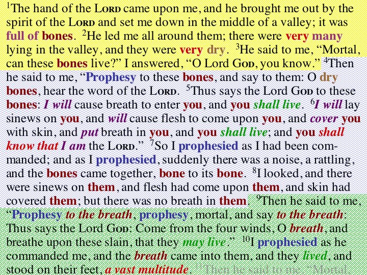 “DEM BONES” SONG AND EZEKIEL 37 – Nicky's Notes