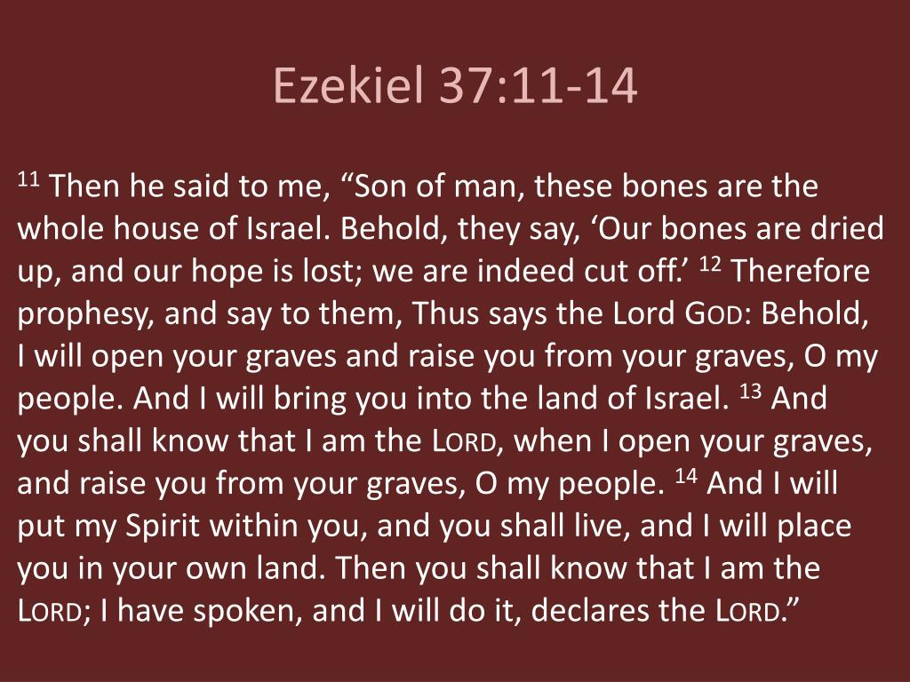 “DEM BONES” SONG AND EZEKIEL 37 – Nicky's Notes