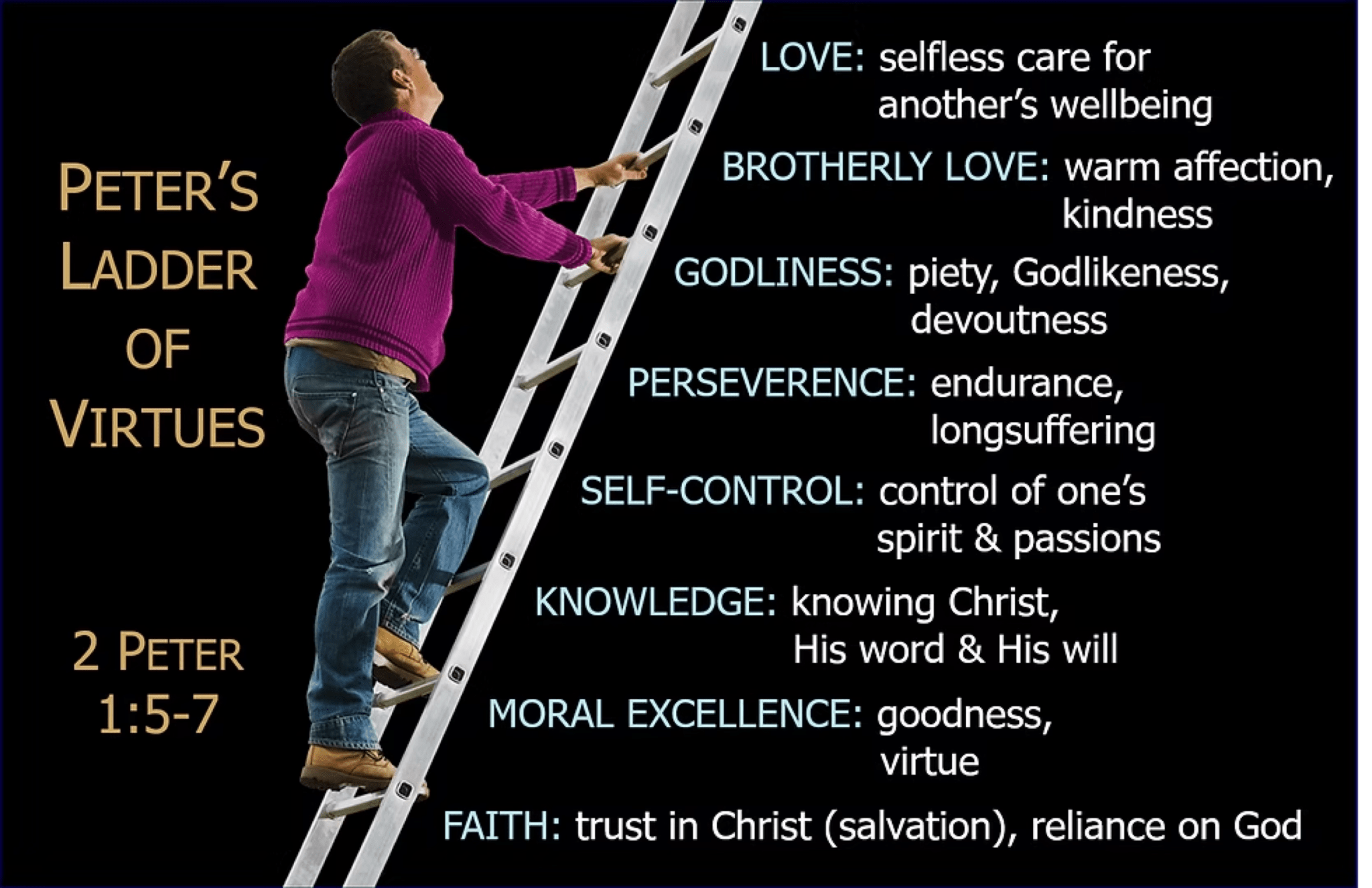 PETER’S LADDER OF VIRTUES – Nicky's Notes
